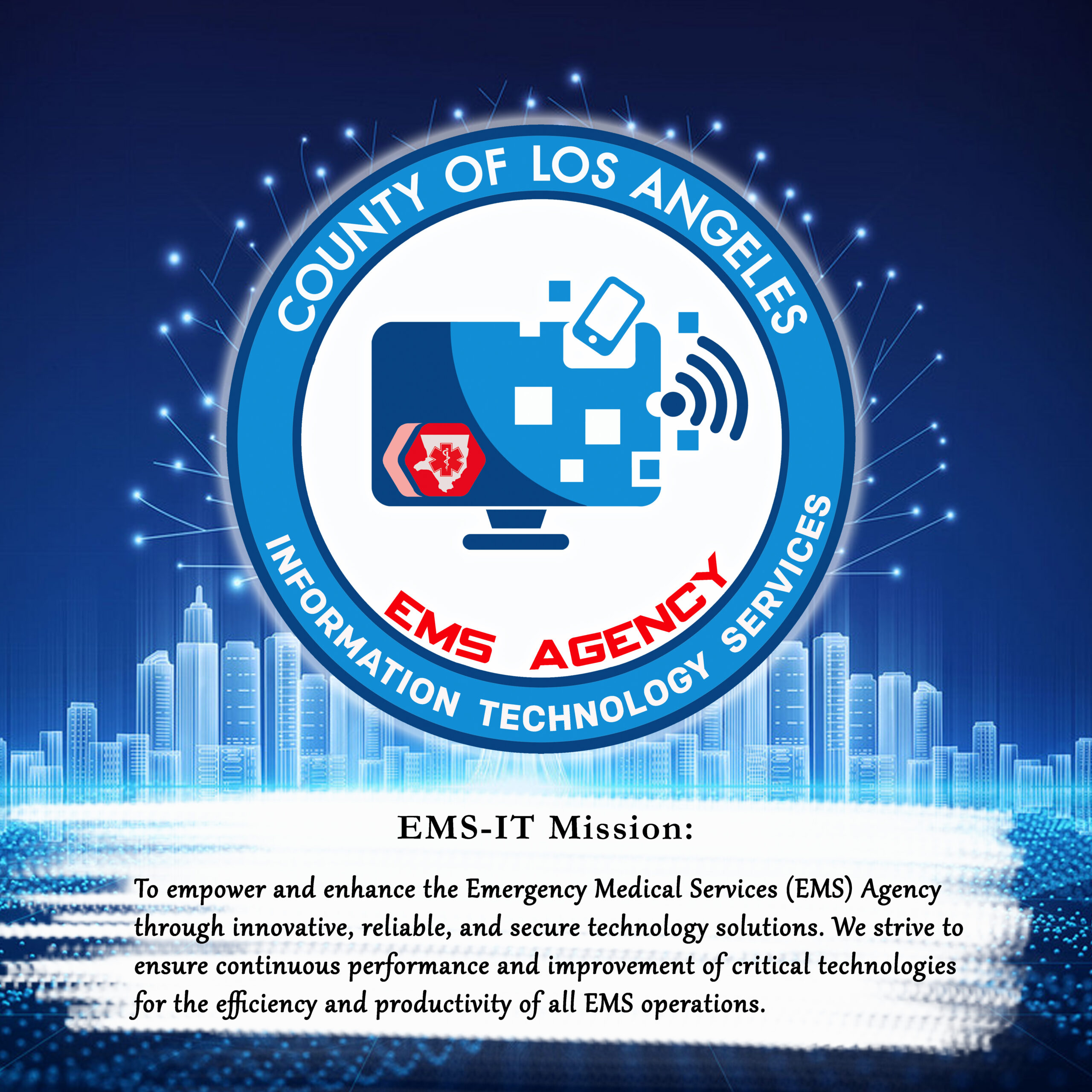 Information Technology - Subitis Medical Services Agency