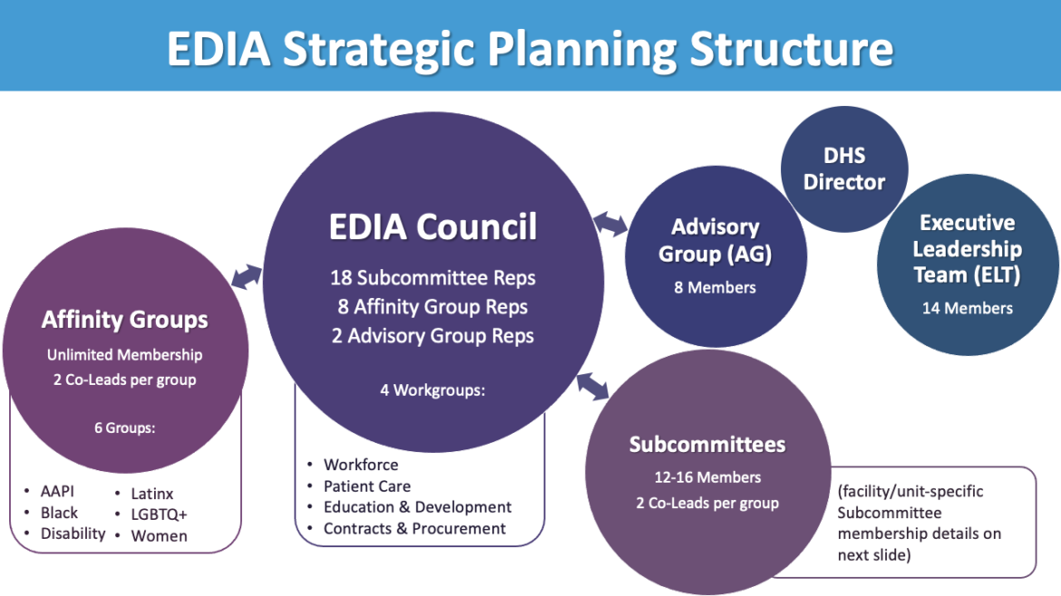 Equity, Diversity, Inclusion, and Antiracism – 1 Year Later - Health ...